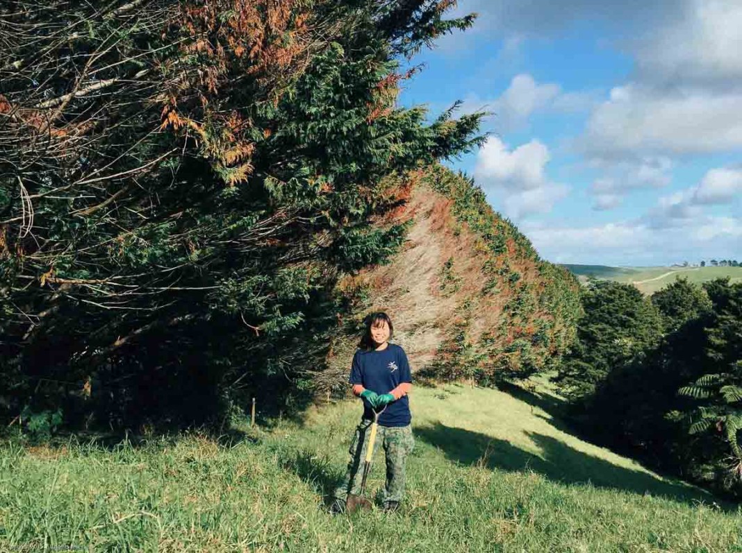 All you need to know about WWOOFing in New Zealand