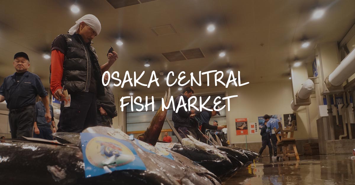 Osaka Central Fish Market — The Alternative Tsukiji Experience