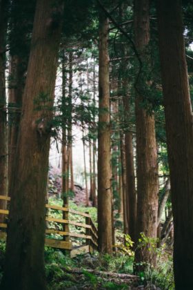 Ulleungdo: The Secret Island in Korea