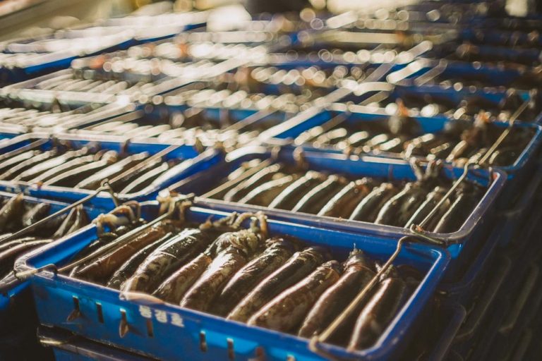 Ulleungdo: The Secret Island in Korea