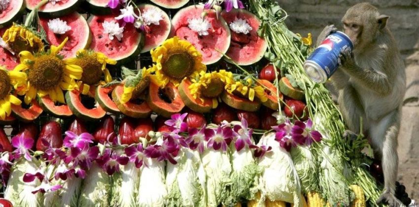 11 Most Exciting Food Festivals Around The World