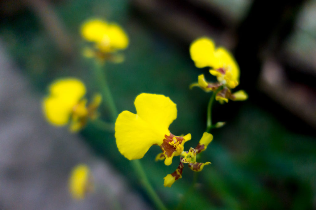 10 Reasons Why Nature Lovers Should Visit Beautiful Terengganu in ...