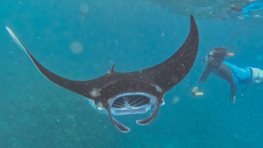 11 Best Adventurous Things to Do in Bali Other Than Chilling