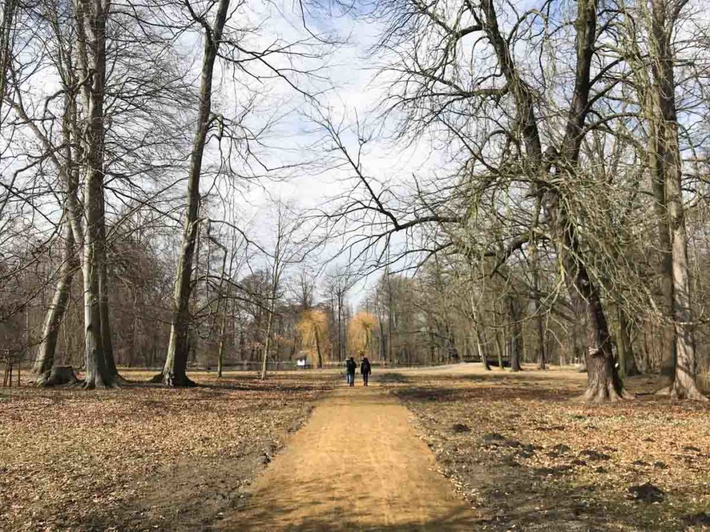 Spreewald Day Trip Guide — The Perfect Nature Escape 1 Hour Away From ...