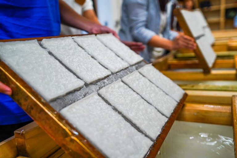 13 Exciting Things to do in Kochi, Japan: A Countryside Experience in ...