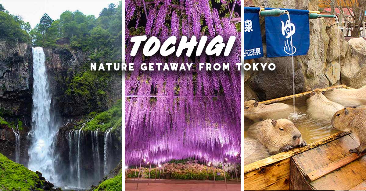 An Introduction to Nikko, Utsunomiya and Beyond — 7 Reasons Why Tochigi ...