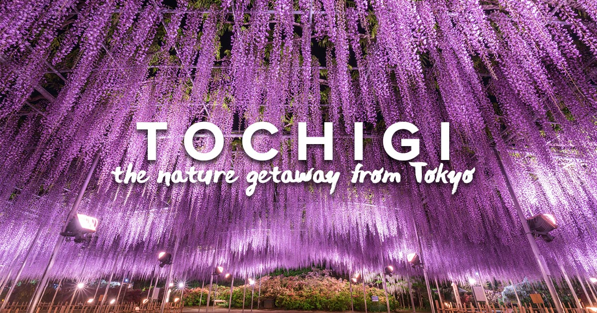 An Introduction to Nikko, Utsunomiya and Beyond — 7 Reasons Why Tochigi ...
