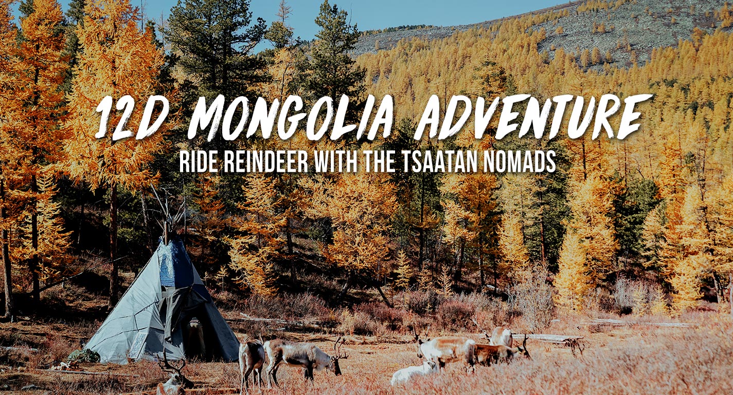 12D North Mongolia Itinerary for S$4k Incl. Flights — Experience Nomad ...