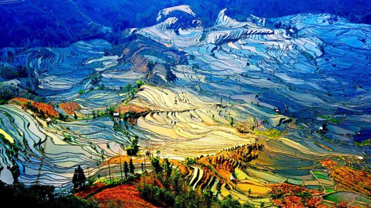 Yunnan Nature Bucket List For Outdoor Lovers – 13 Scenic Must-sees