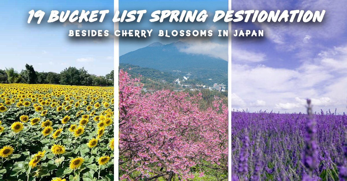 19 Breathtaking Bucket List Spring Destinations Besides Japan ...