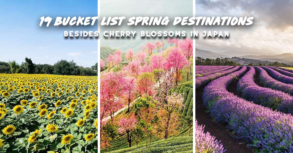 19 Breathtaking Bucket List Spring Destinations Besides Japan ...
