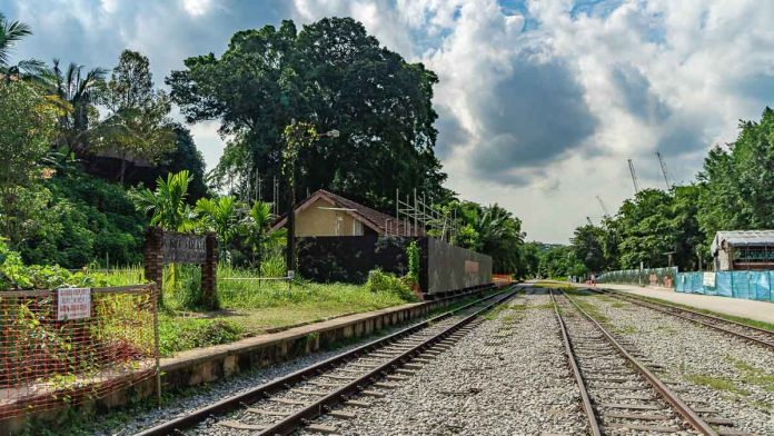 Singapore’s Rail Corridor — Lesser Known Instagrammable Photo Spots to ...