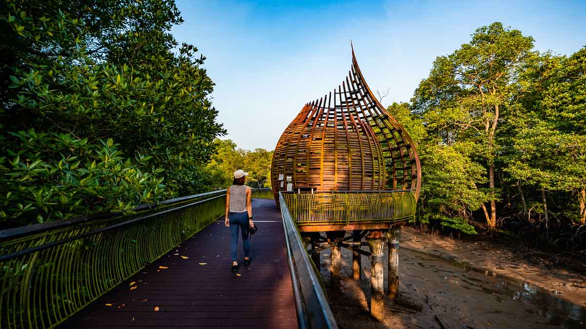 Sungei Buloh Wetland Reserve — IG-Worthy Pods, Coastal Boardwalks