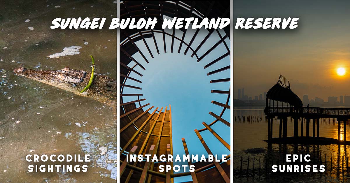 Sungei Buloh Wetland Reserve — IG-Worthy Pods, Coastal Boardwalks