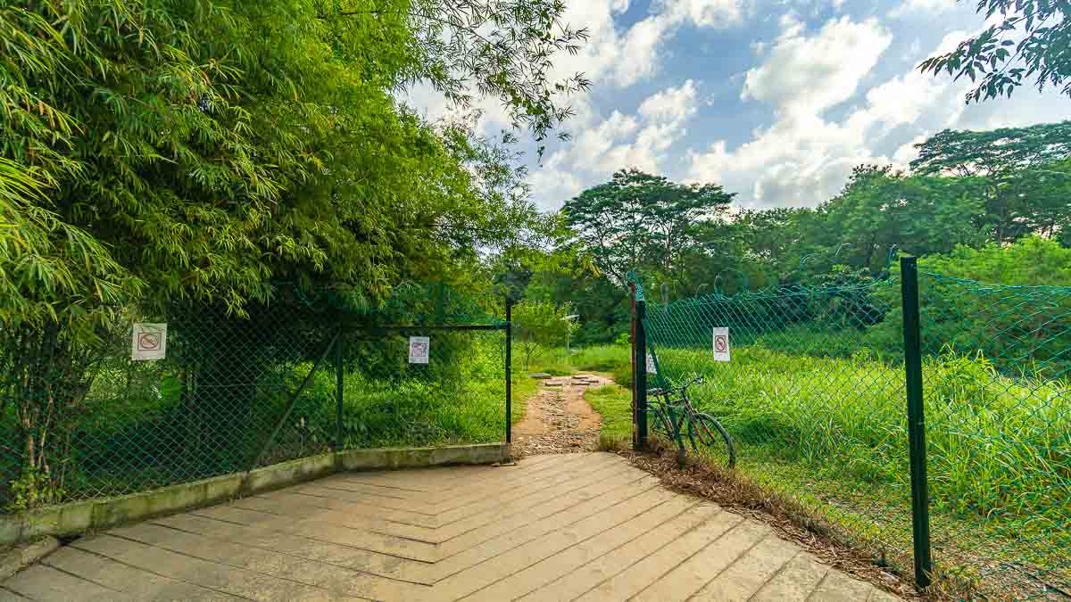 Singapore’s Rail Corridor — Lesser Known Instagrammable Photo Spots to ...