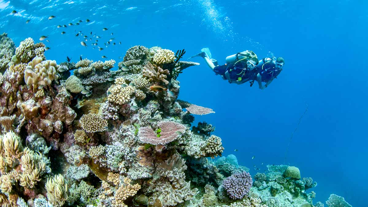 7 Epic Ways to Experience the Best of the Great Barrier Reef