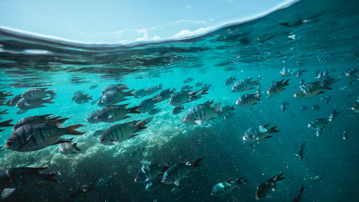 7 Epic Ways to Experience the Best of the Great Barrier Reef