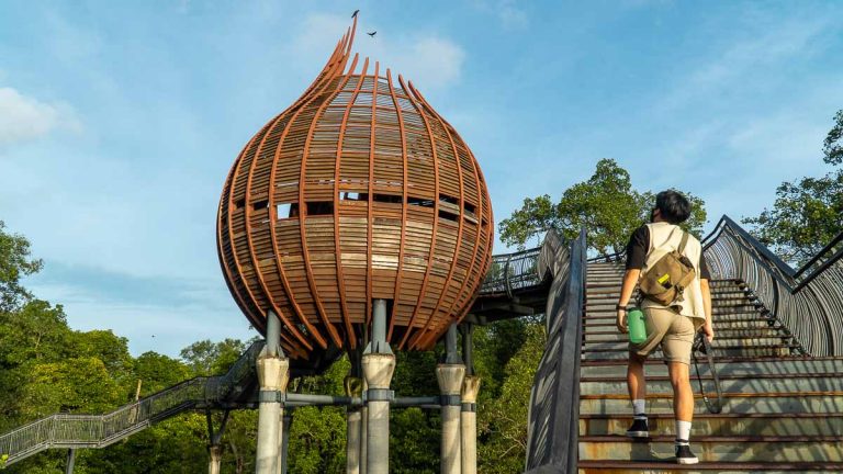 Sungei Buloh Wetland Reserve — IG-Worthy Pods, Coastal Boardwalks