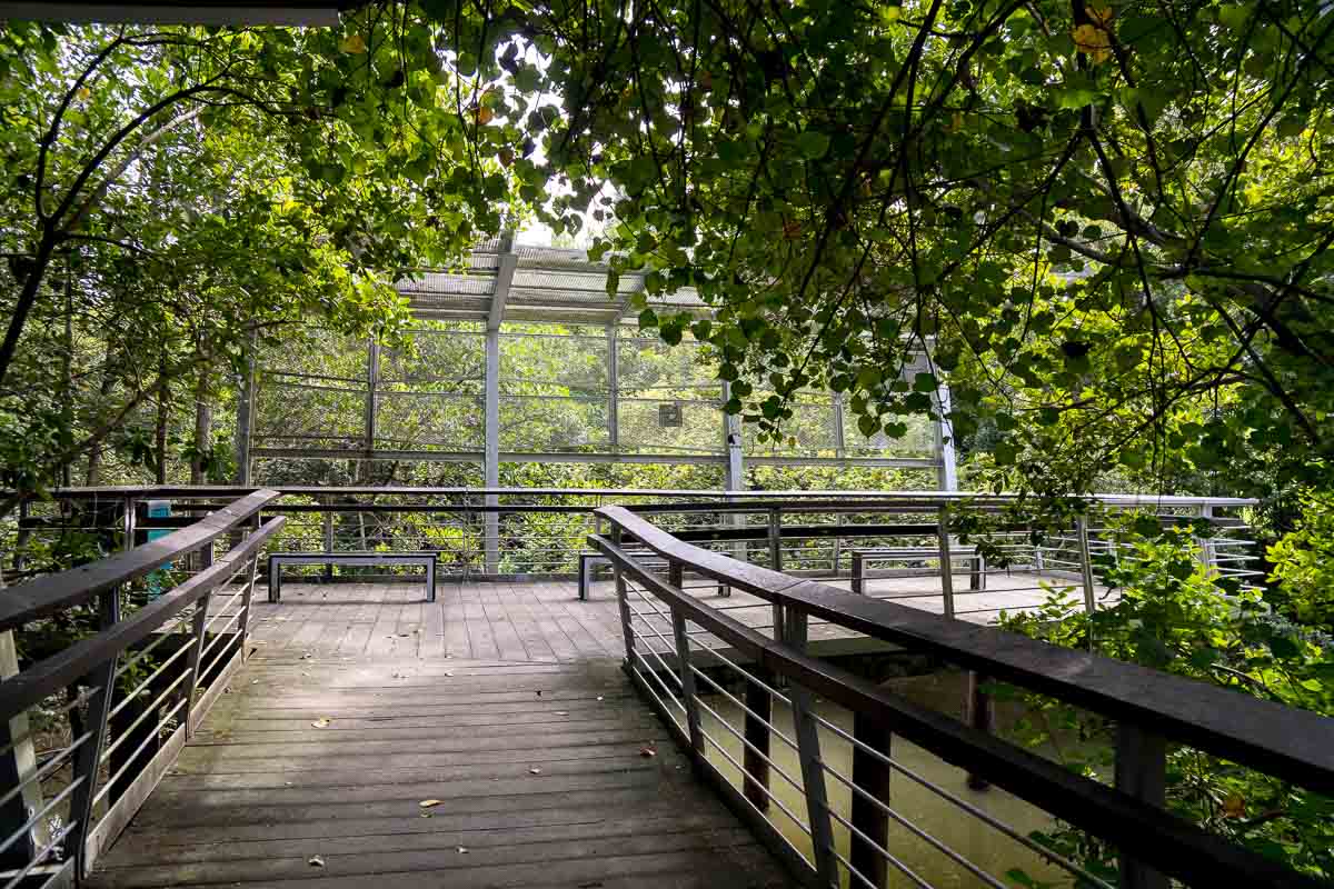 Labrador Nature Reserve — Scenic Coastal Walk with WWII Tunnels and Relics
