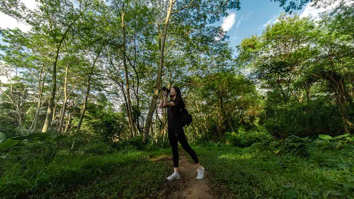 Singapore’s Rail Corridor — Lesser Known Instagrammable Photo Spots to ...