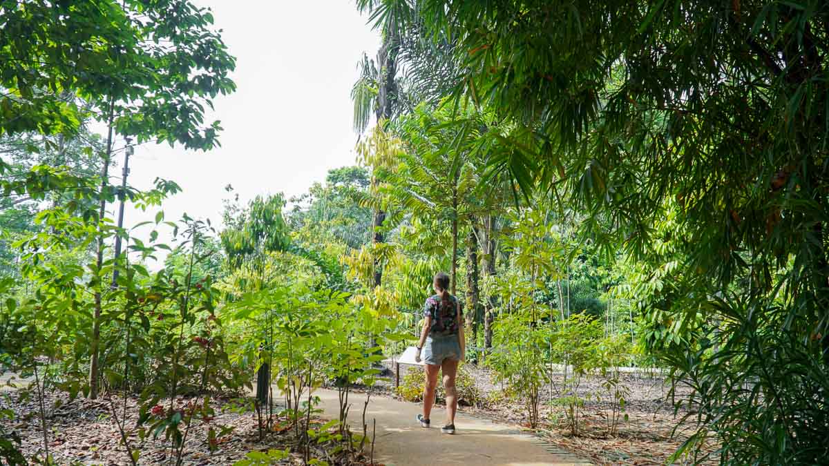 Singapore Botanic Gardens' New Gallop Extension — IG-Worthy Art ...