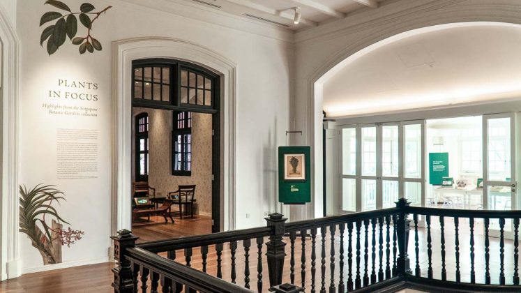 Singapore Botanic Gardens' New Gallop Extension — IG-Worthy Art ...