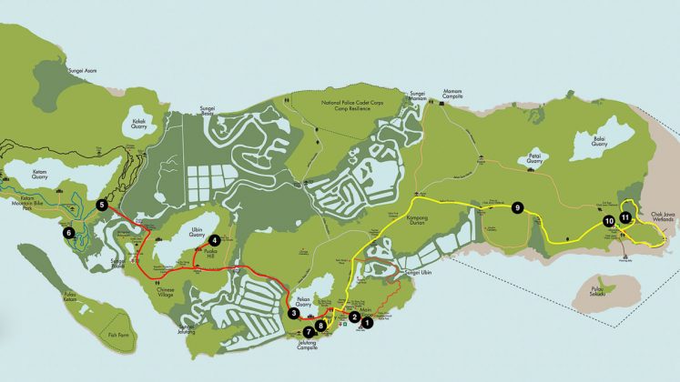 Cycling on Pulau Ubin — A Scenic 9-Hour Route Around The Island's Best ...