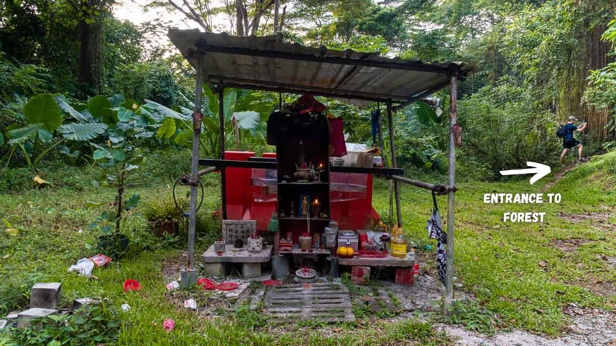 Bukit Brown Cemetery — Everything you need to know before visiting this ...