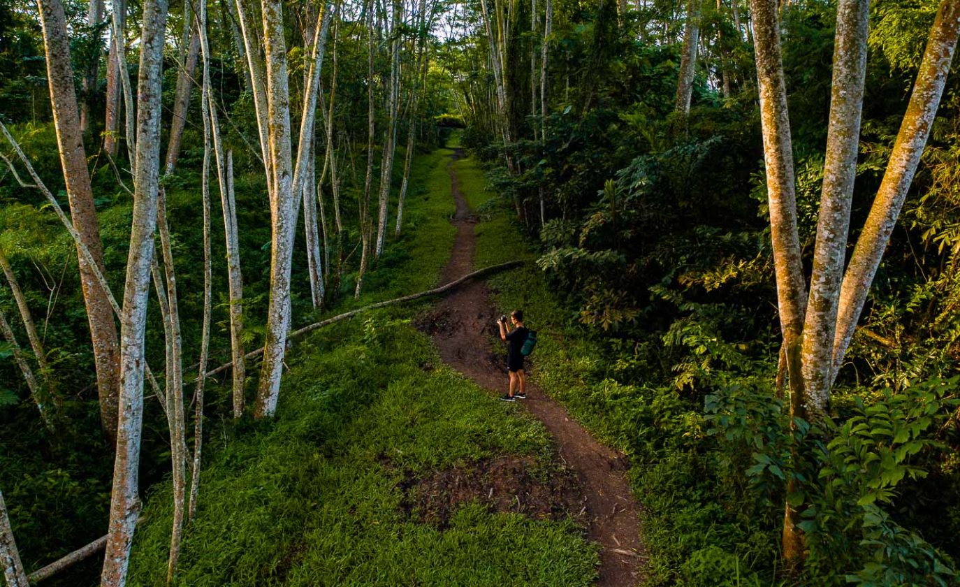 Hiking in Singapore | The Travel Intern