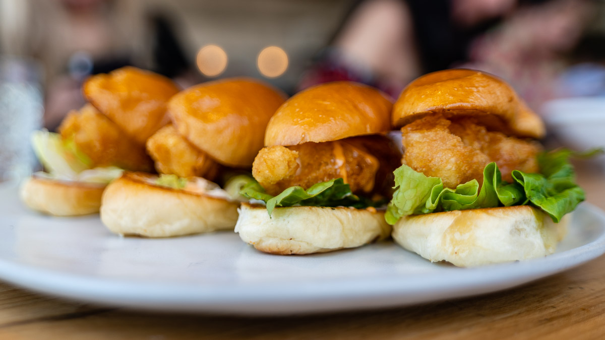 16 Epic Experiences to Add to Your Next Gold Coast Itinerary