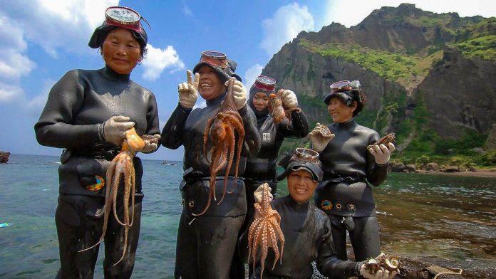 17 Exciting Things to Do in Jeju — From Bucket List Experiences to ...