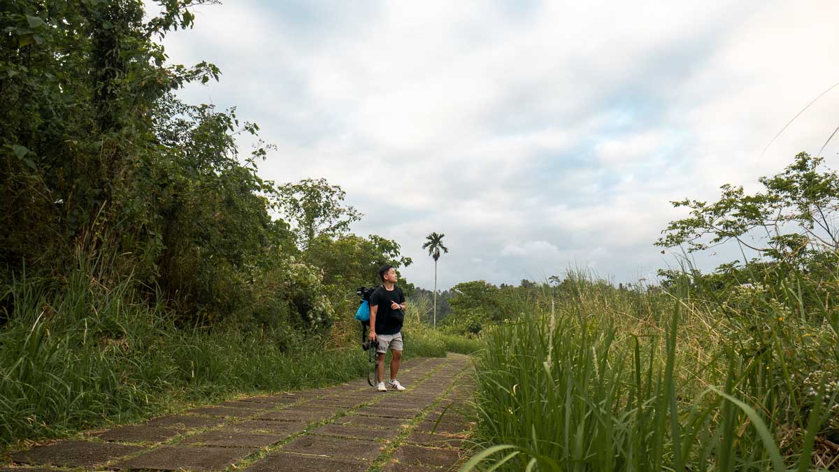 4D3N Bali Itinerary — The Ultimate Ubud Getaway Guide