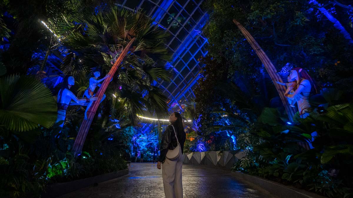 Avatar: The Experience — NEW! At Gardens By The Bay till Mar 2023