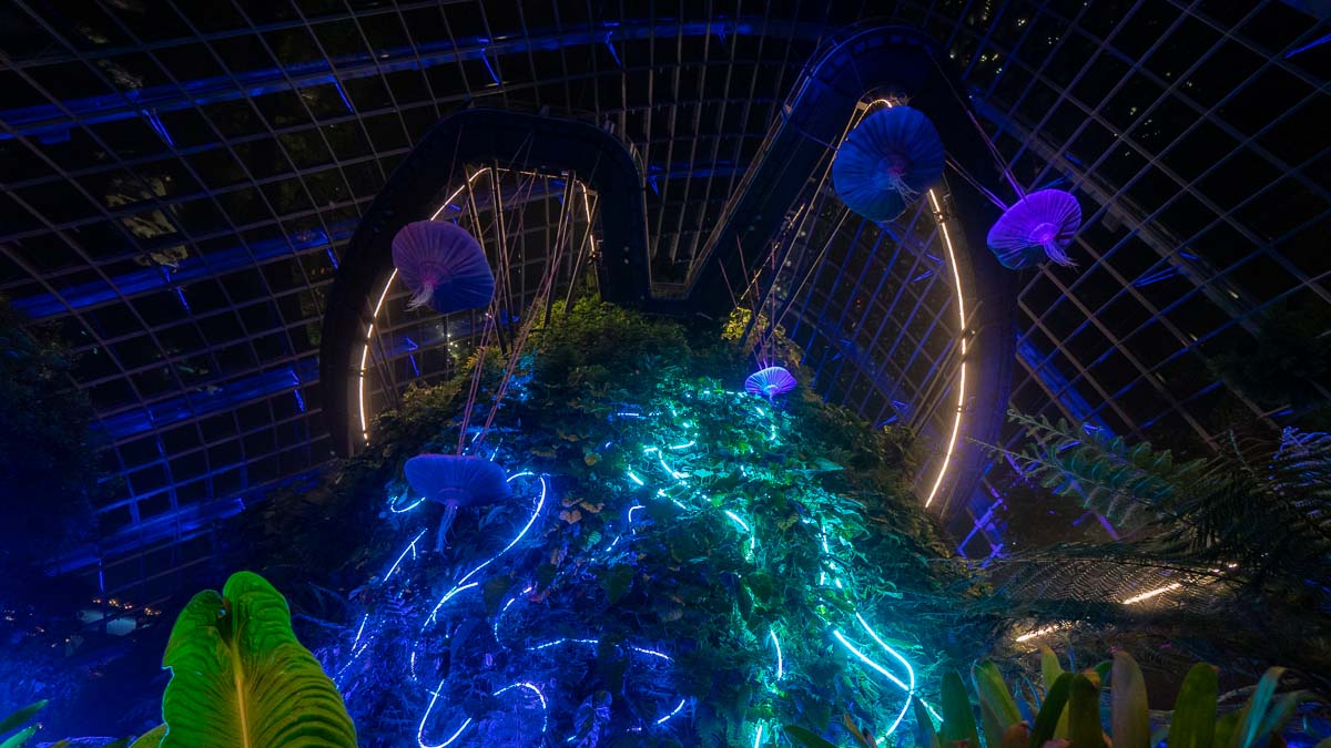 Avatar: The Experience — NEW! At Gardens By The Bay till Mar 2023