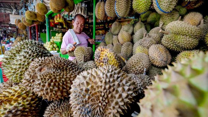 Long Weekend Getaways — 9 Lesser-Known Destinations With Under 8-Hour ...