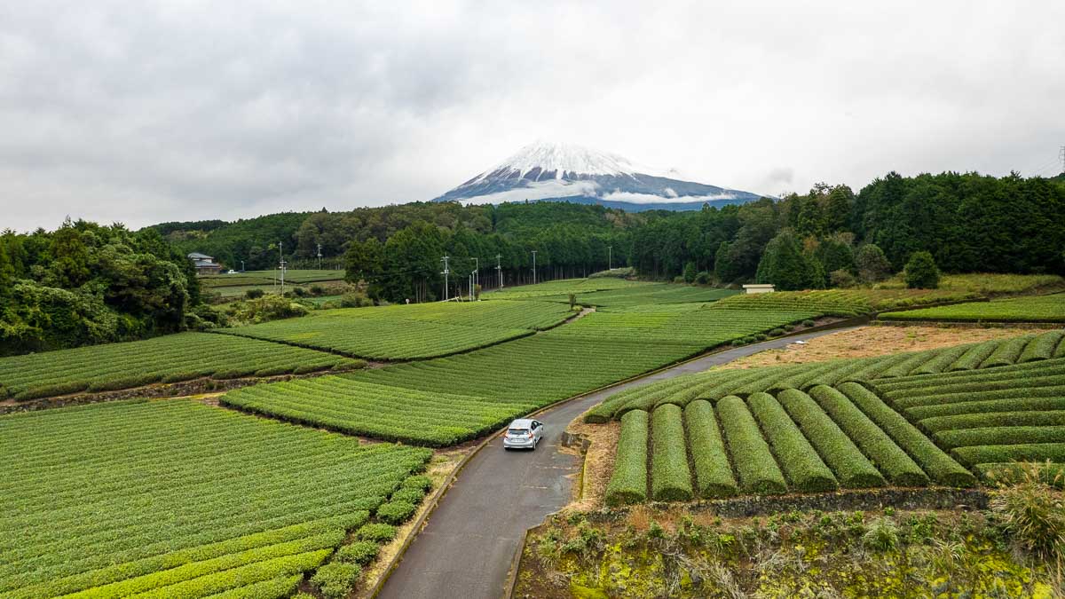 9 Best Mt Fuji Viewing Spots — Must-visits and Lesser Known Guide to ...