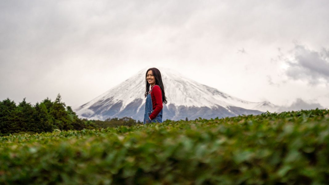 9 Best Mt Fuji Viewing Spots — Must-visits and Lesser Known Guide to ...