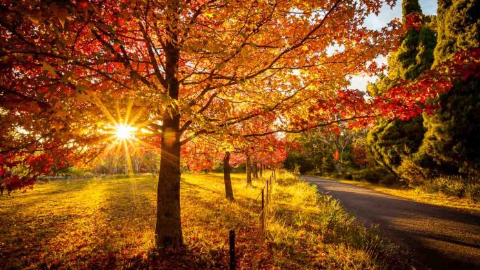 New South Wales Winter and Autumn Guide — Fun Things to Do in Sydney ...