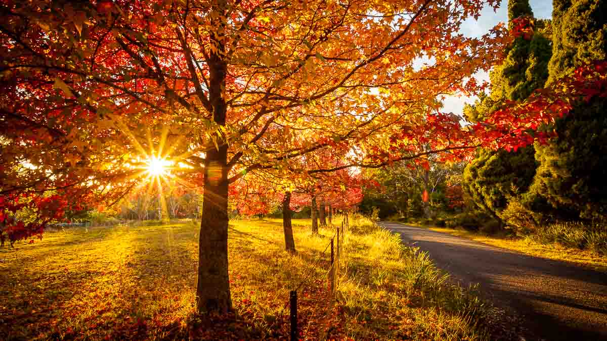 New South Wales Winter and Autumn Guide — Fun Things to Do in Sydney ...