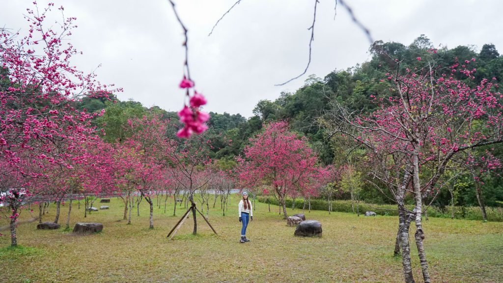 Taiwan Itinerary 5D4N Under S$400 — Taipei to Yilan