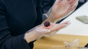 6D5N Western Japan Itinerary — Best Things to Do in Kyoto incl. Day Trips