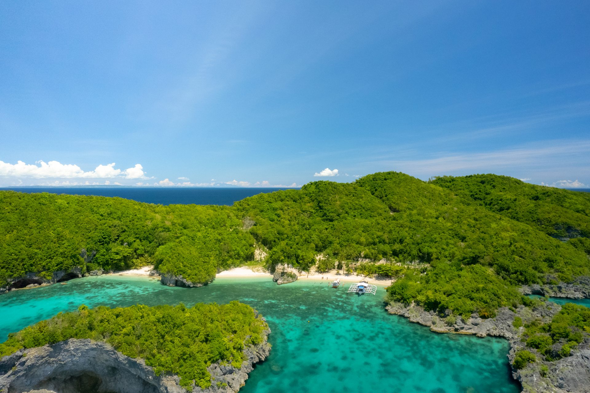 6D Donsol Whale Shark Diving Expedition, Philippines — TTI Experiences