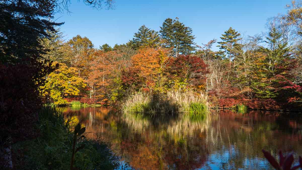 Singapore Travel Promos (29 Apr to 5 May 2025) — Deals, Discount Codes ...