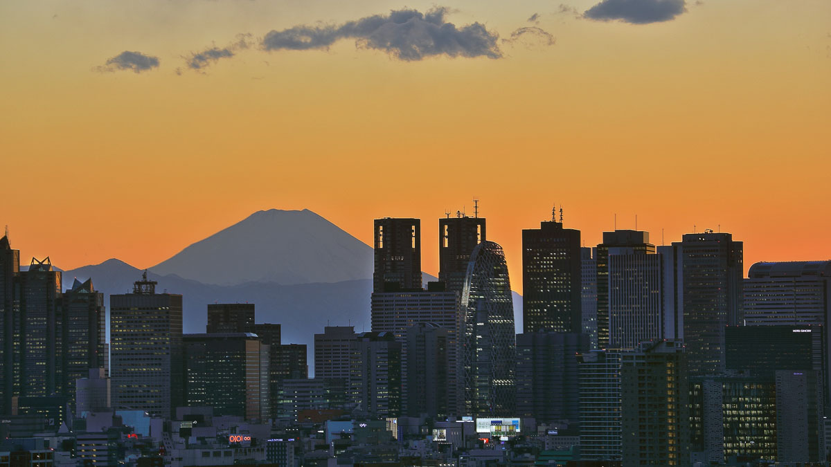4D3N Non-Touristy Tokyo Itinerary — New Things to Do in Japan 2023