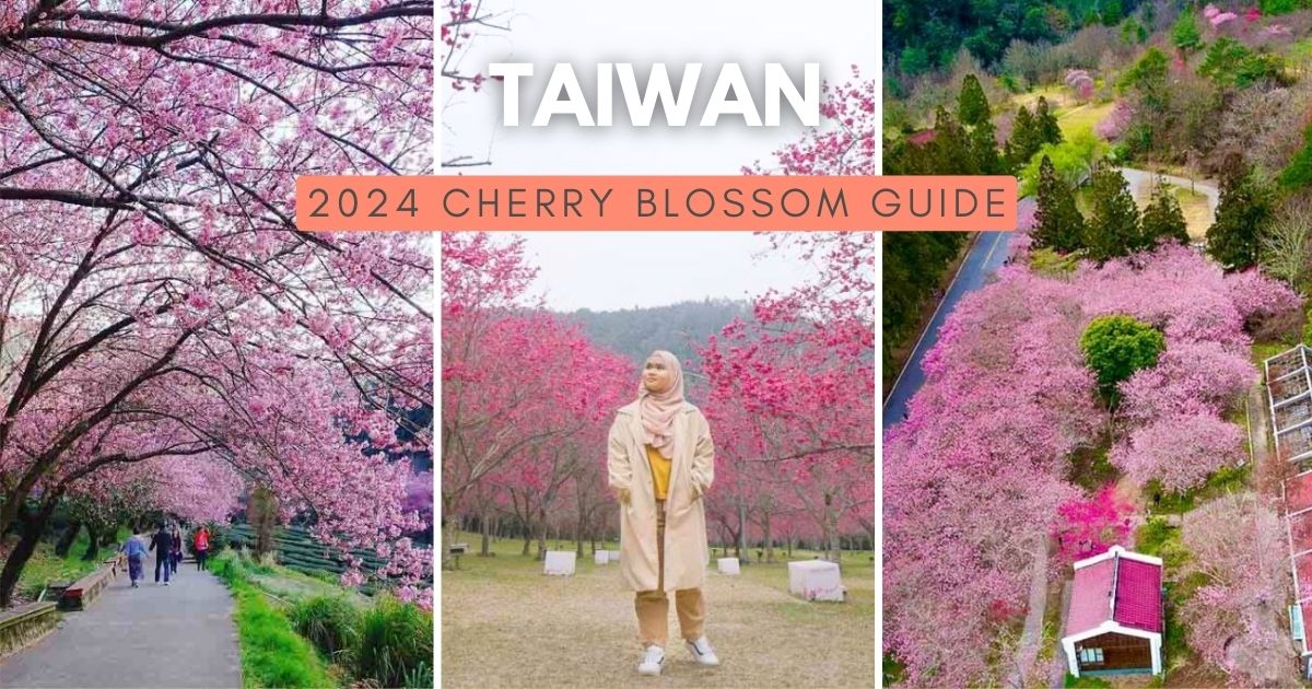 Ultimate Taiwan Spring Guide 2023 — Best Places to See Cherry Blossoms in Taiwan