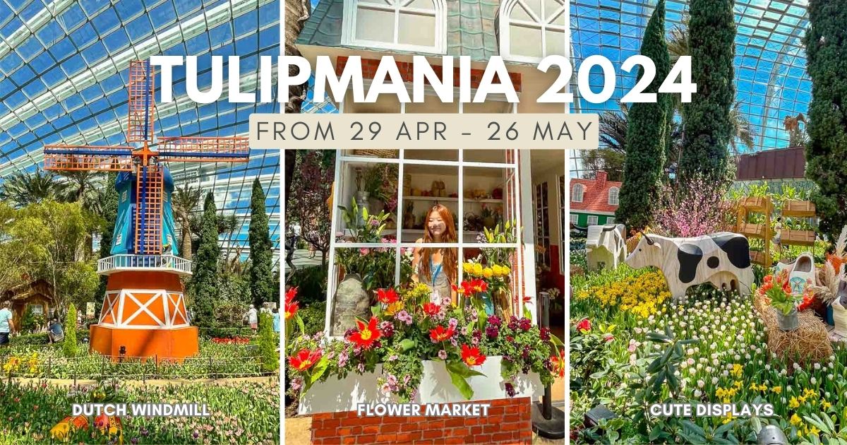 Tulipmania is Back at Gardens by the Bay from 29 April 2024