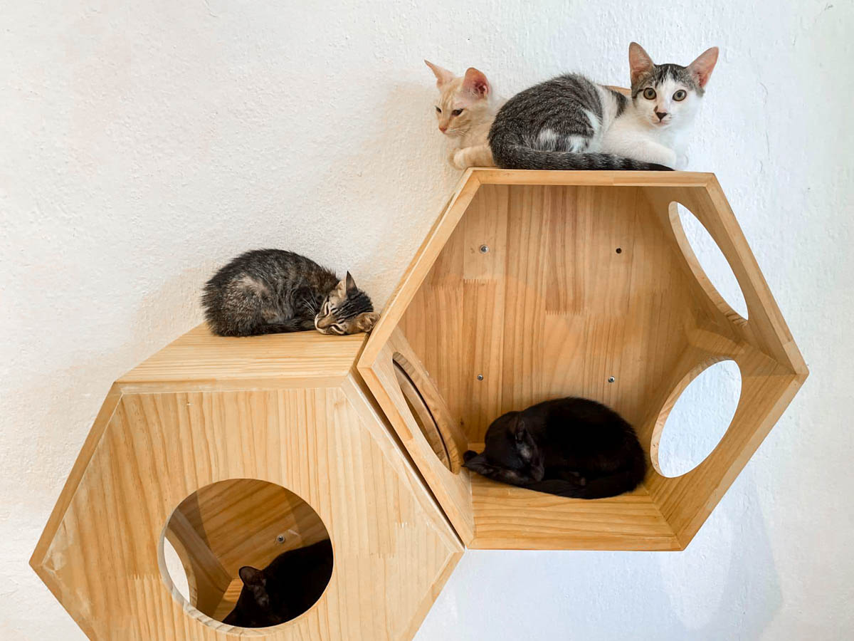 7 Chill Hangout Spots Along the New Thomson-East Coast Line to Check ...