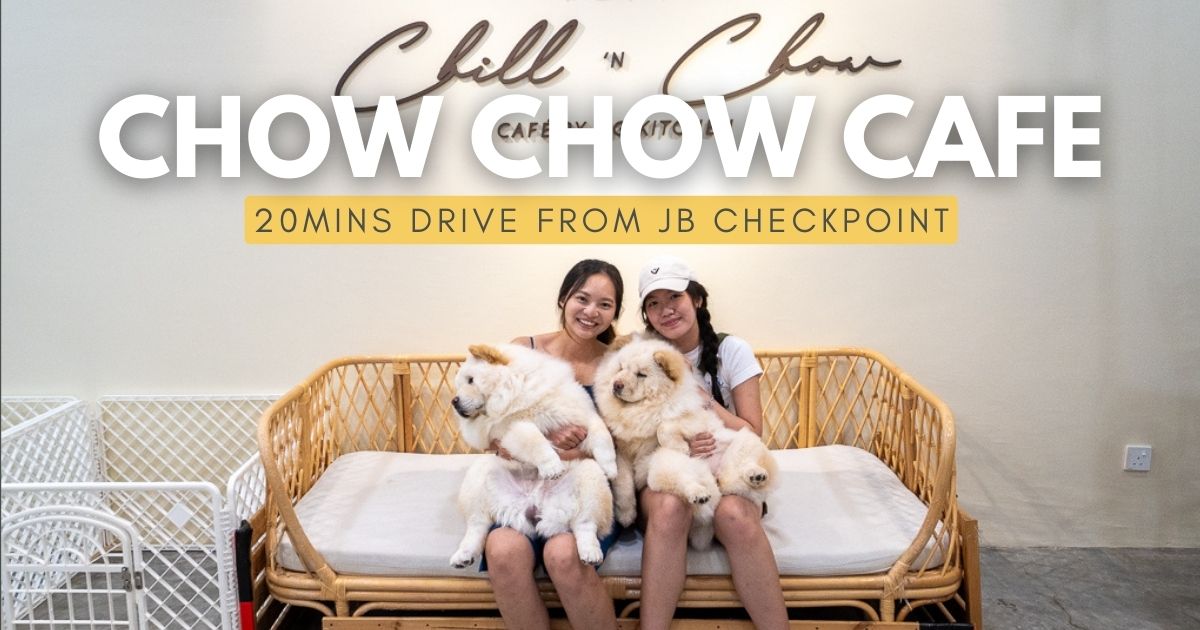 Chill ‘N Chow Cafe — A Dog Cafe in Mount Austin with Fluffy Chow Chows