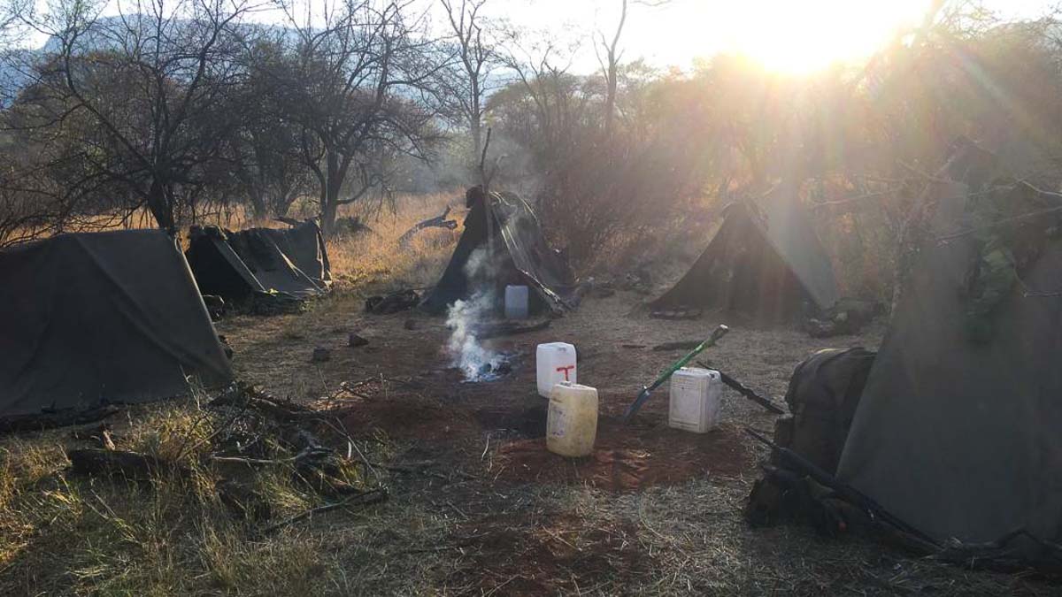 Choosing Conservation Over Luxury Holidays: My Journey as Singapore’s ...