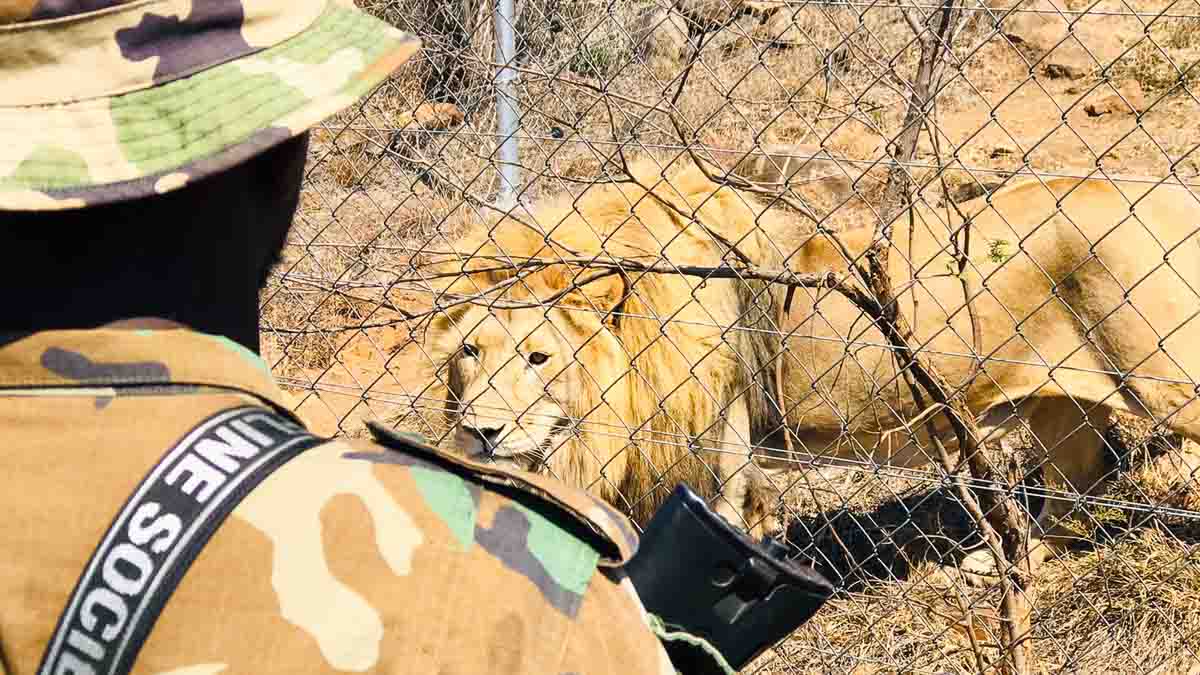 Choosing Conservation Over Luxury Holidays: My Journey as Singapore’s ...